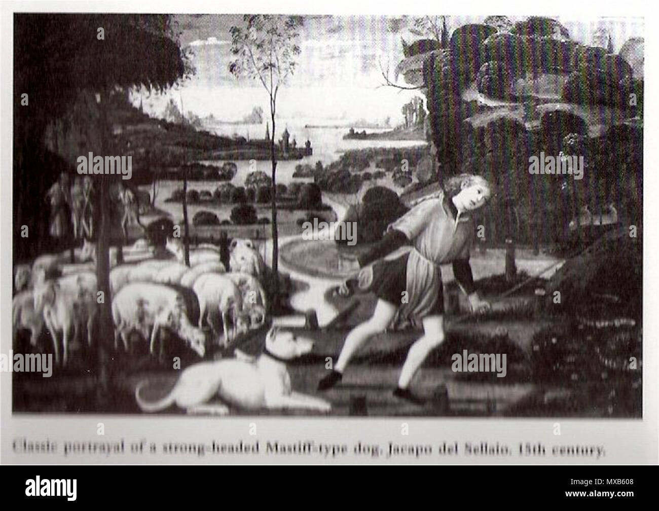 . English: Medieval Alaunt guarding sheep. 15th century. David Hancock ...