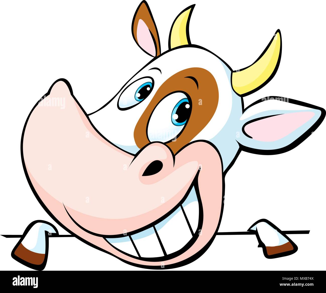 funny cow peeks out from behind a white surface - vector cartoon ...