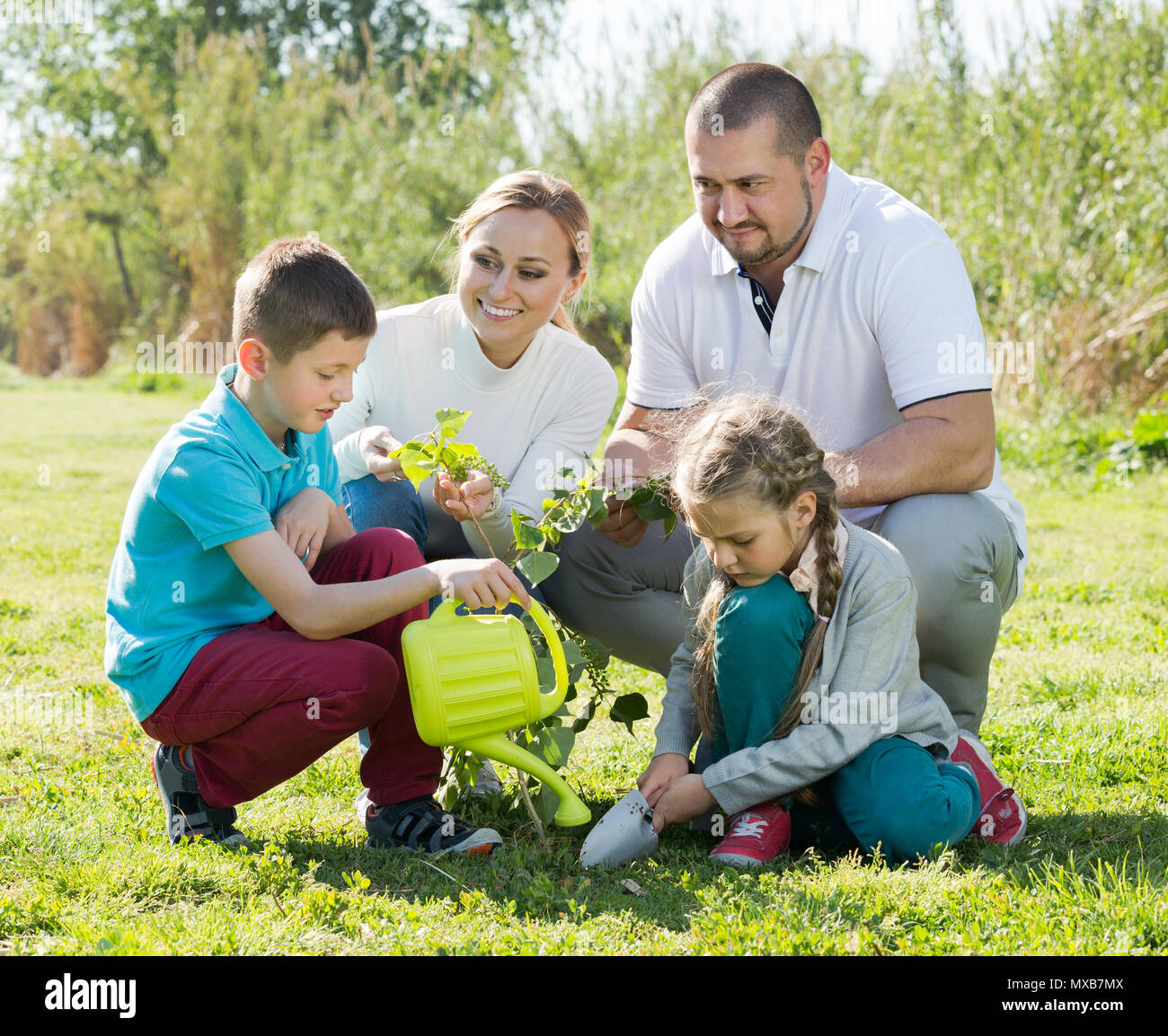 family of four planting a tree outdoors in a sunny weather Stock Photo ...