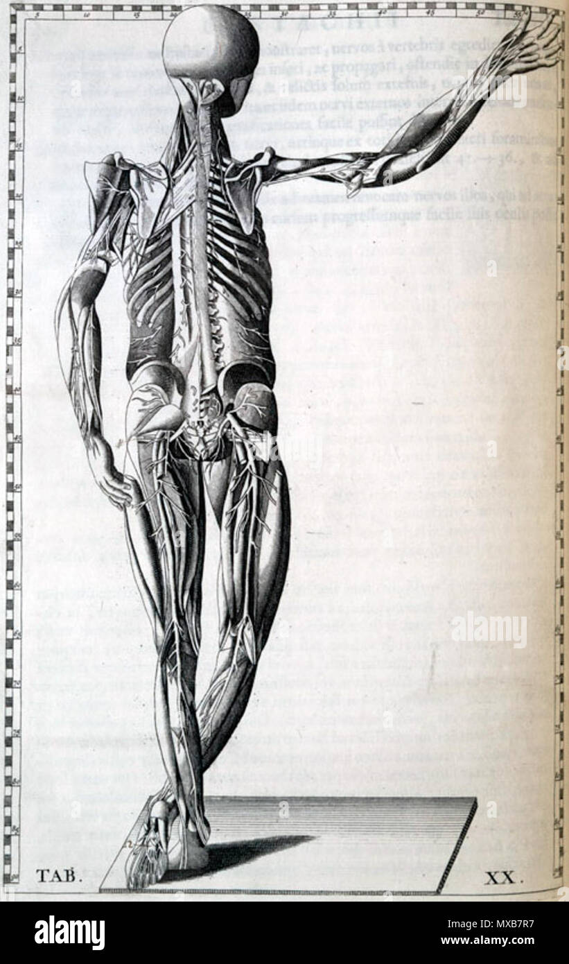 Tabulae anatomicae hi-res stock photography and images - Alamy