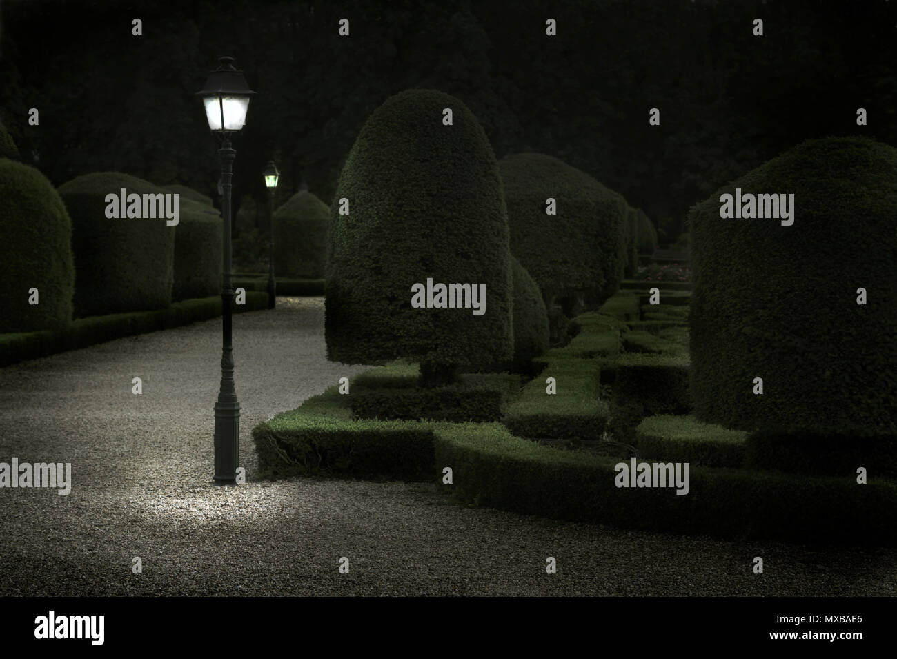 Goya gardens at night Castres France Stock Photo - Alamy