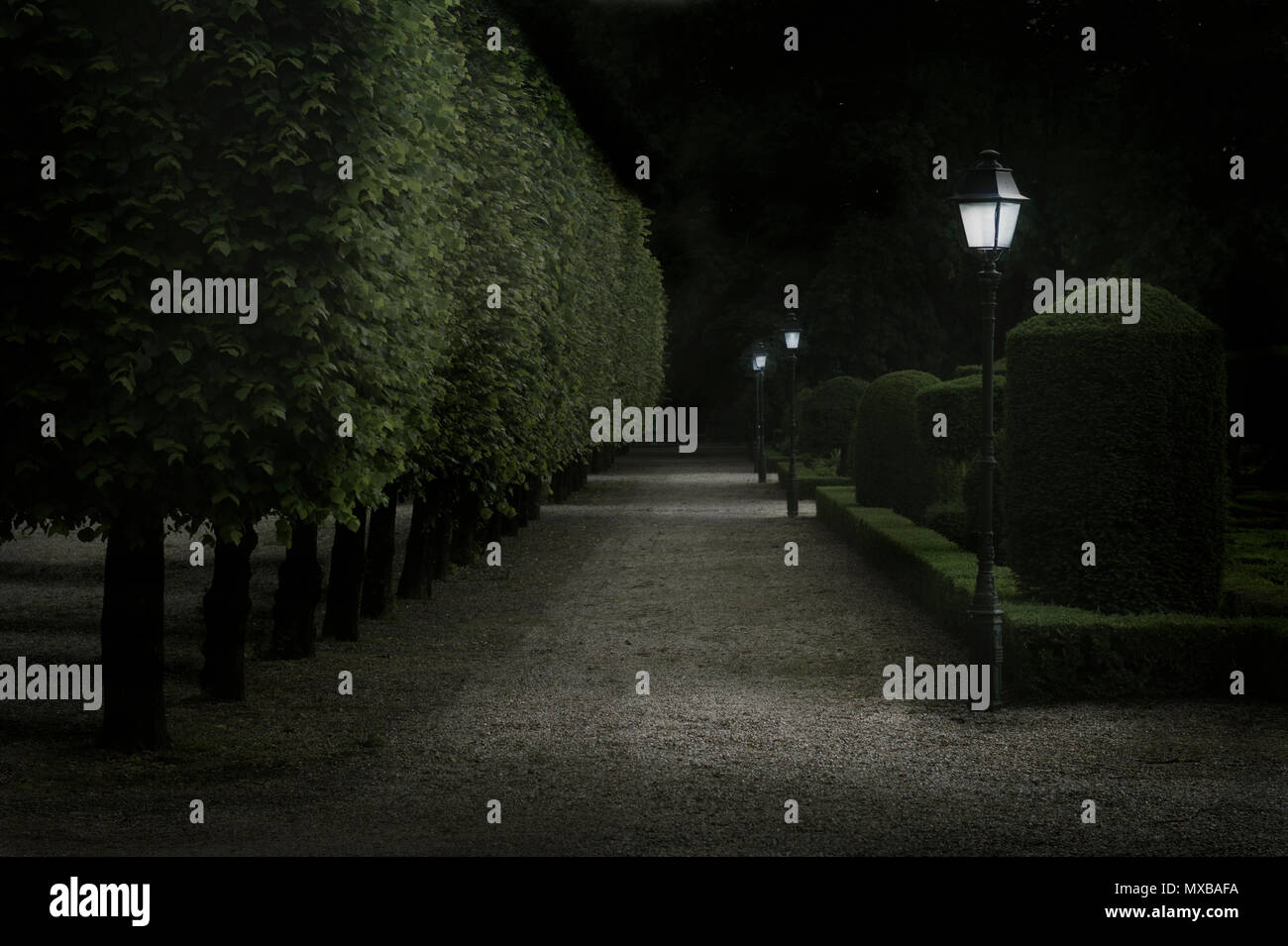 Goya gardens at night Castres France Stock Photo - Alamy