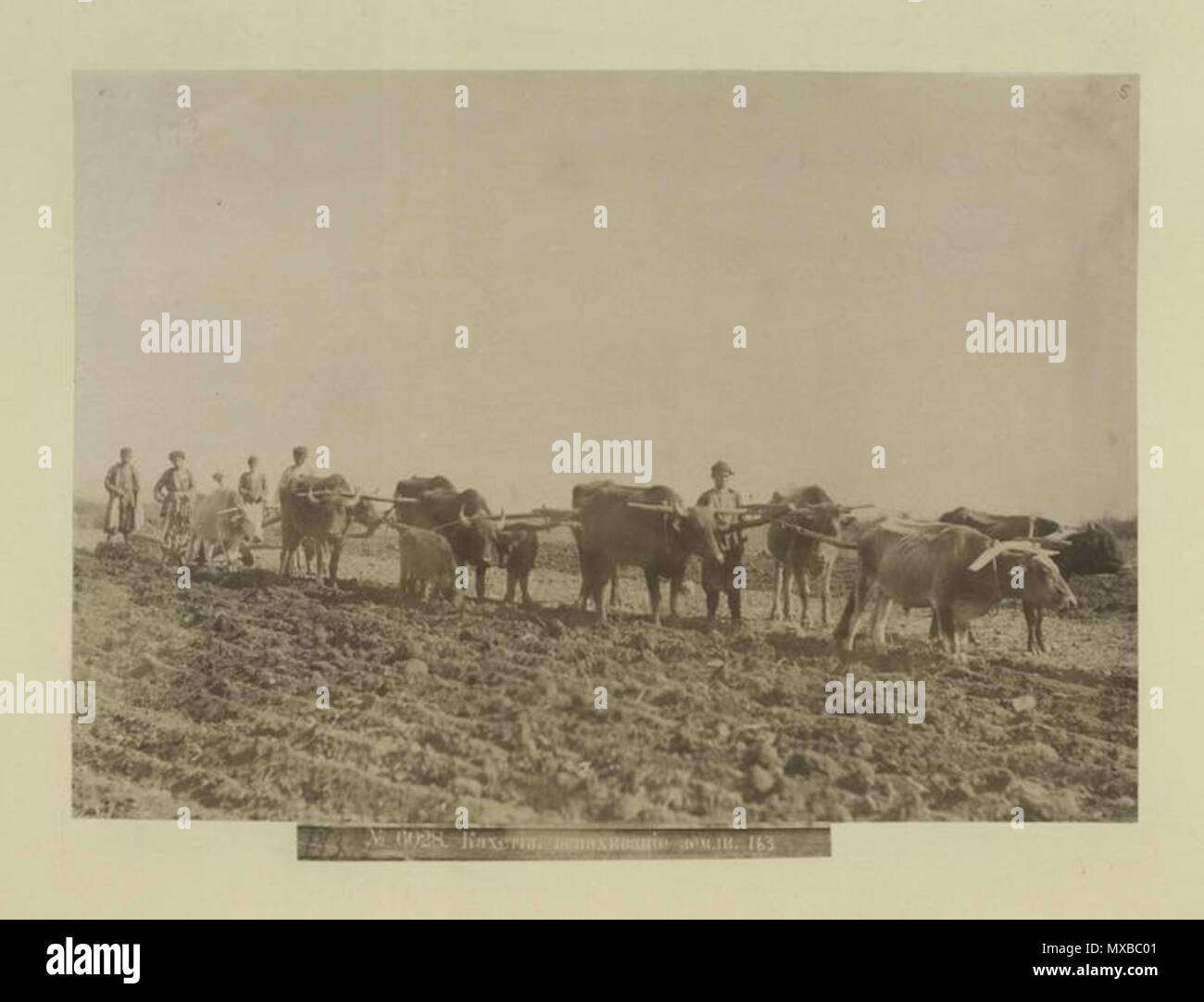 Rare photographs hi-res stock photography and images - Alamy