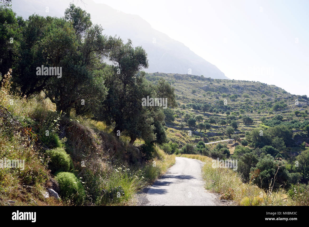 Track mountain in crete hi-res stock photography and images - Alamy