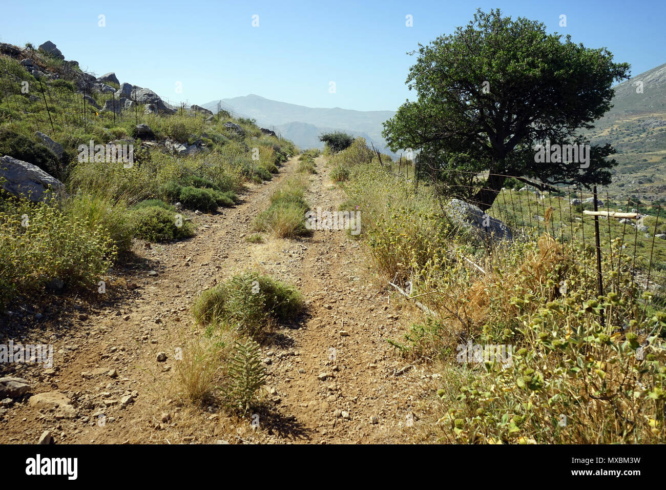 track on the slope in Crete island, Greece Stock Photo - Alamy