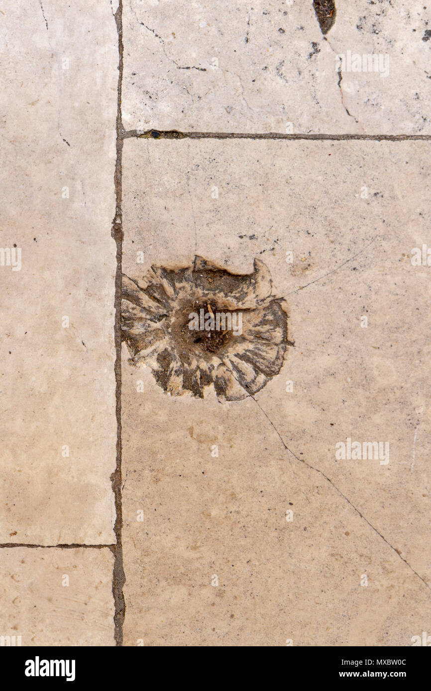 War damage street hi-res stock photography and images - Alamy