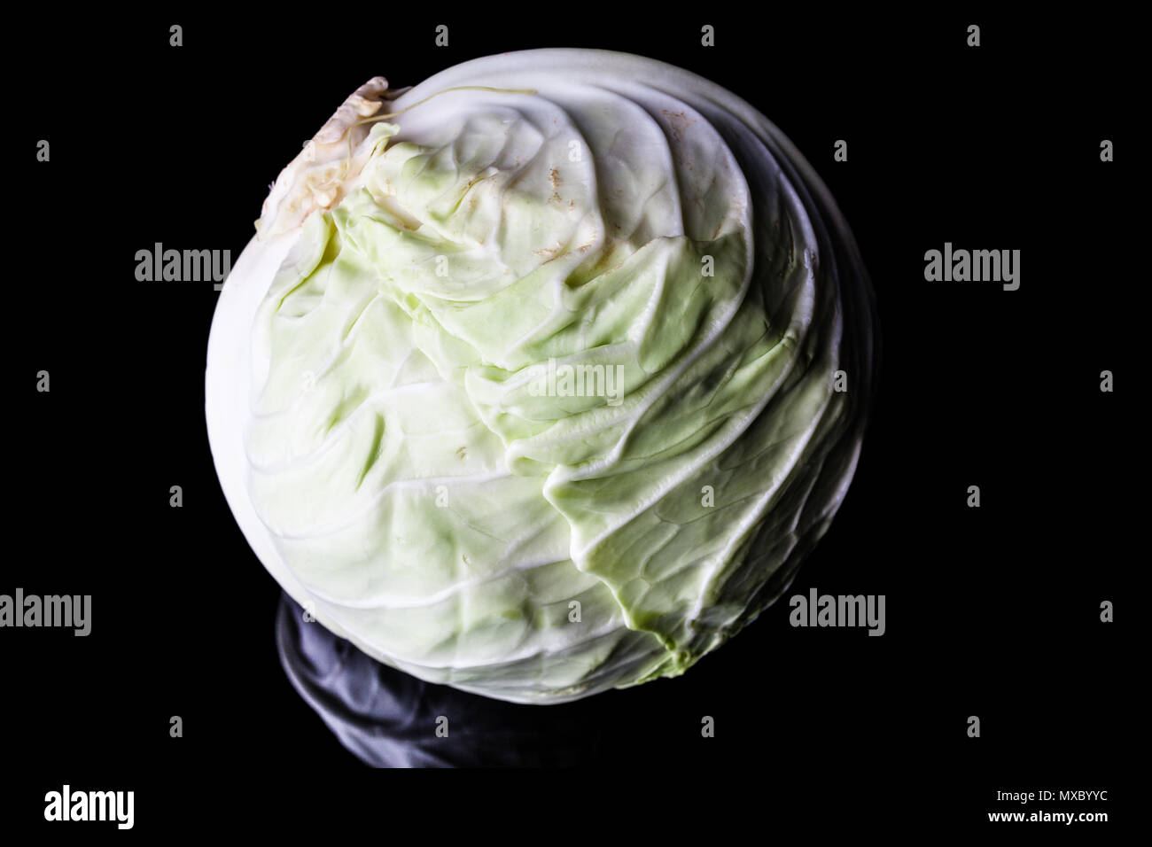 White light green cabbage head on black background with reflection ...