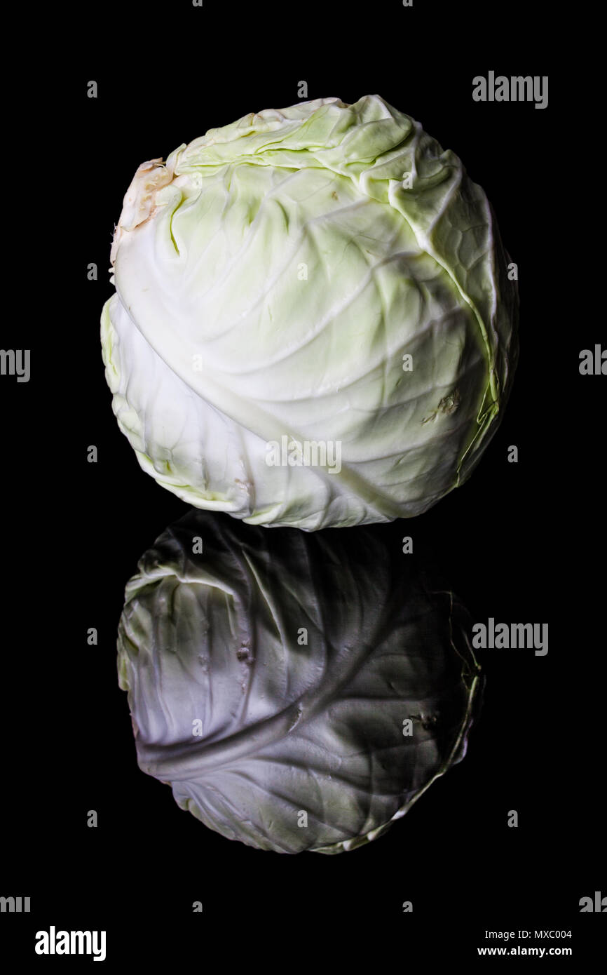 White light green cabbage head on black background with reflection ...