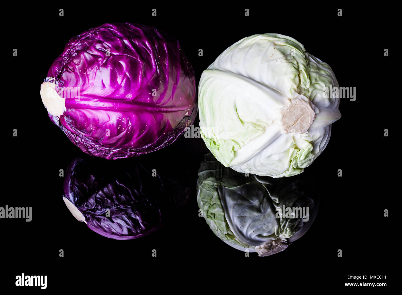 Purple and white light green cabbage heads on black background with ...