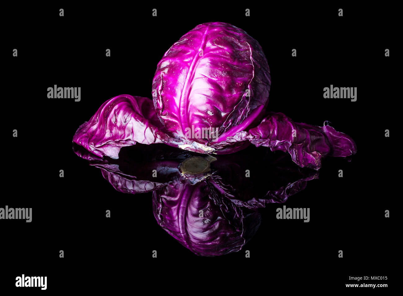 Peeled purple cabbage head on black background with reflection Stock ...