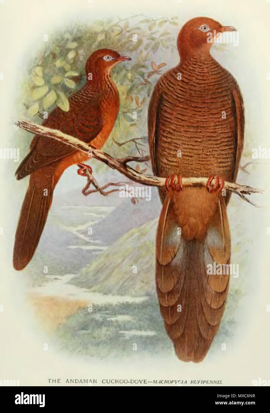 Stuart baker hi-res stock photography and images - Alamy