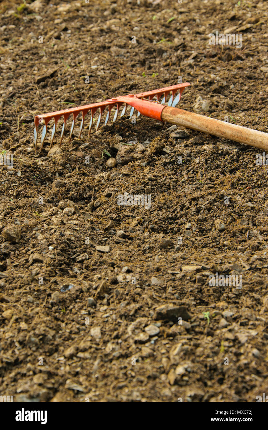 Rake in the soil, gardening/agricultural working tool, space for text ...