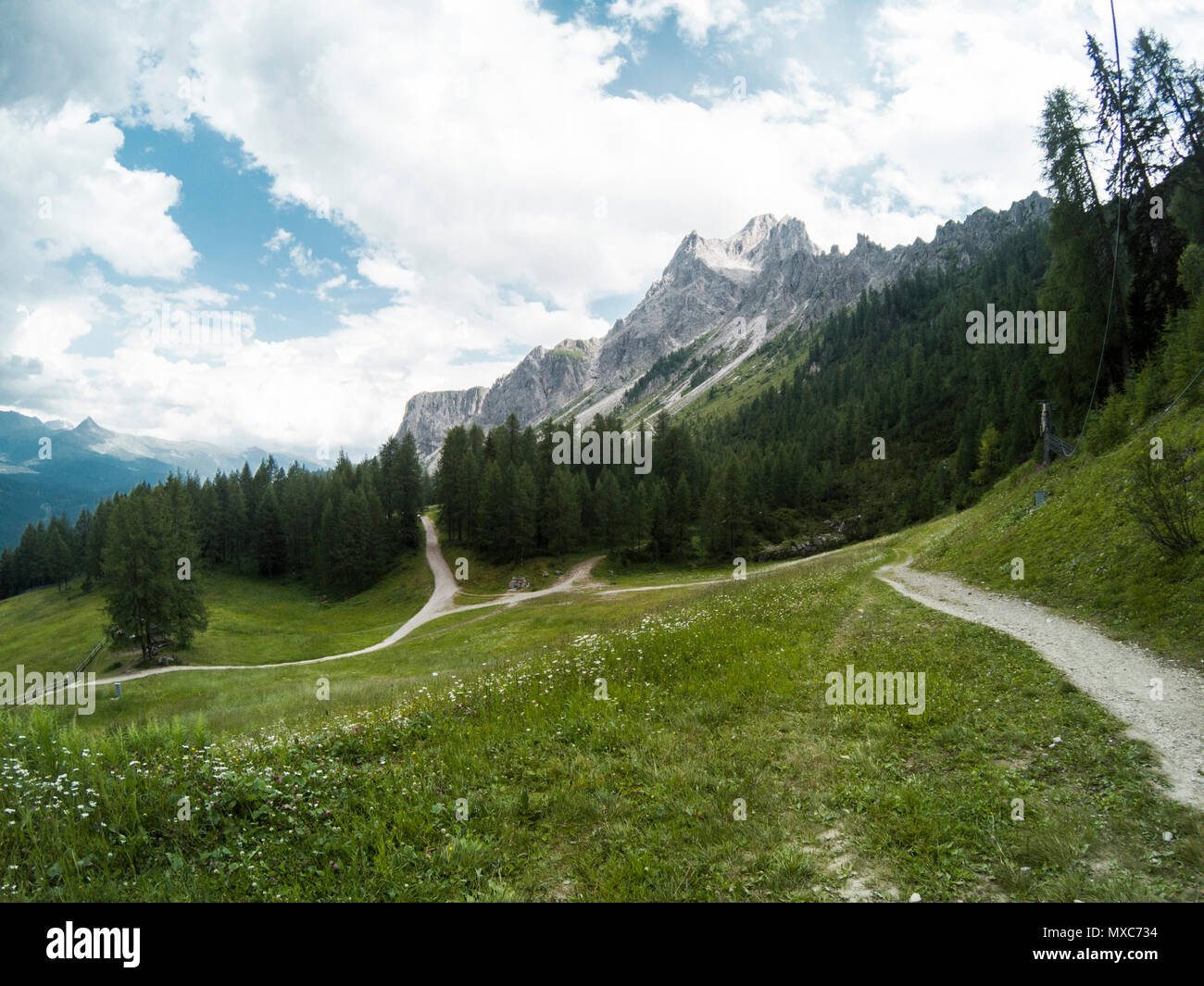 Hiking trails with Dolomites moutains and a gree foreston background ...