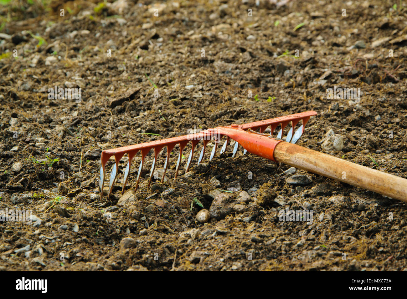 Rake in the soil, gardening/agricultural working tool, space for text ...