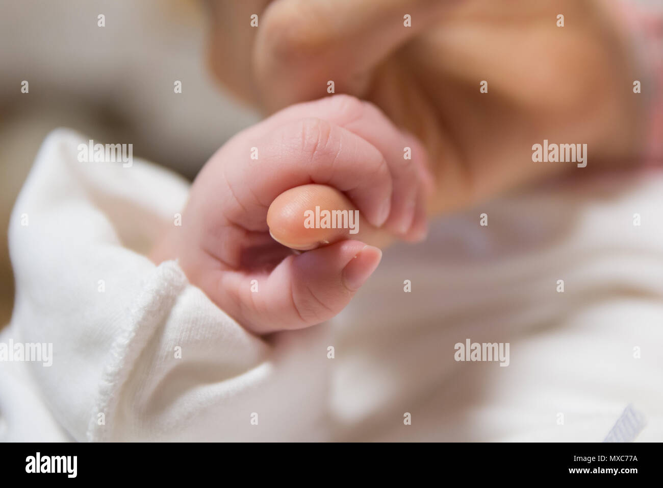 New born baby grip his mother's finger. The love of a mother concept ...