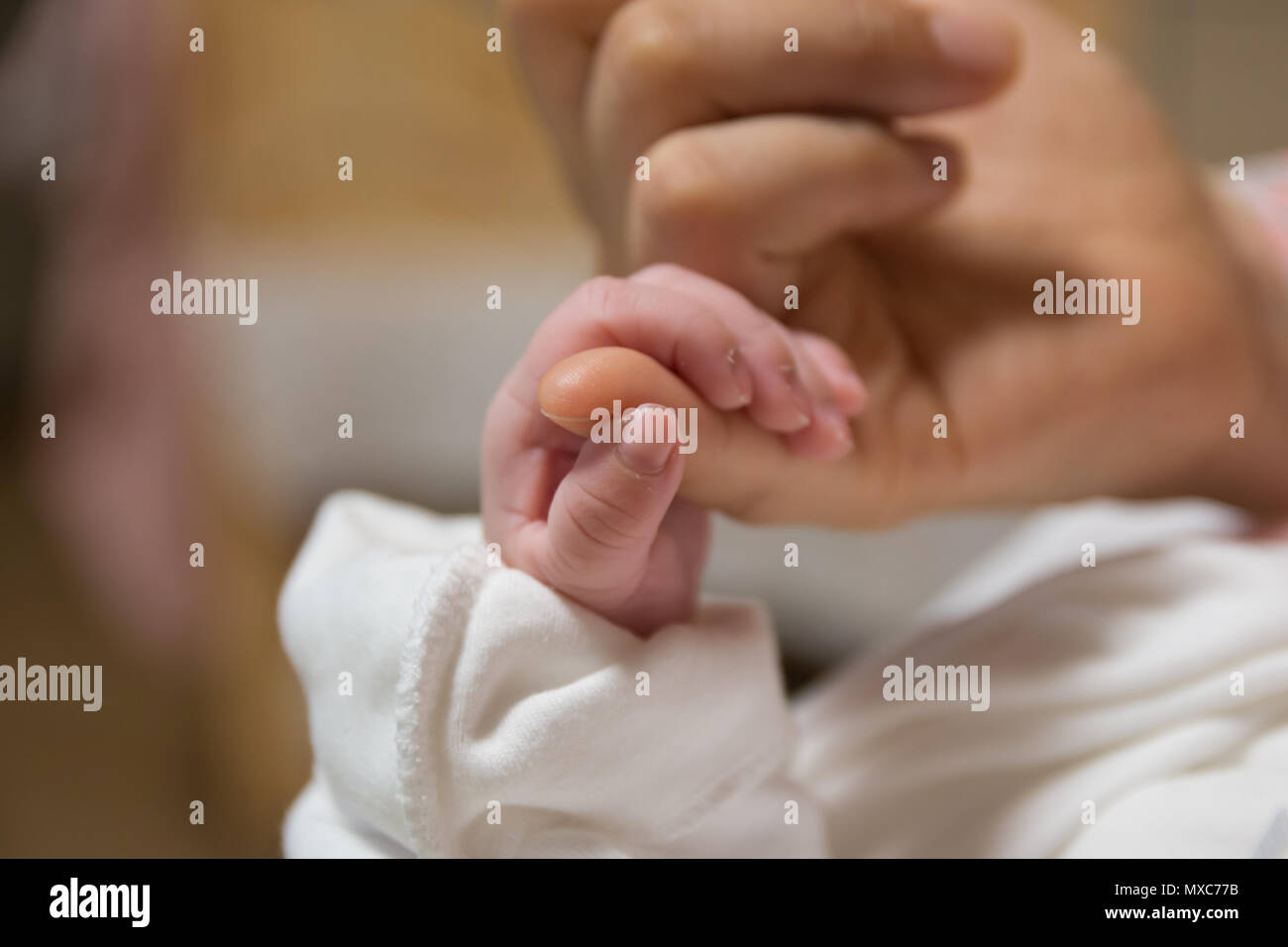 New born baby grip his mother's finger. The love of a mother concept ...