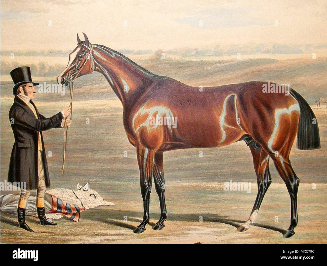 . English: Mameluke, Thoroughbred racehorse, that won 1827 Epsom Derby ...