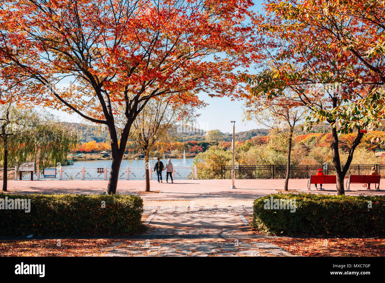 Autumn maple and lake at Incheon Grand Park in Korea Stock Photo - Alamy