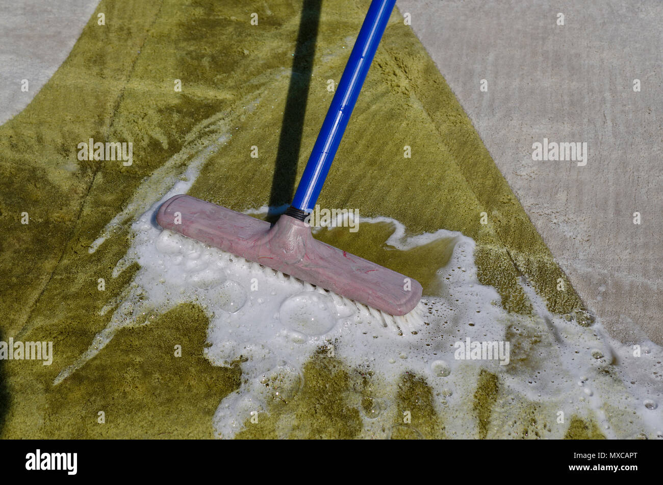 Washing carpet hi-res stock photography and images - Alamy