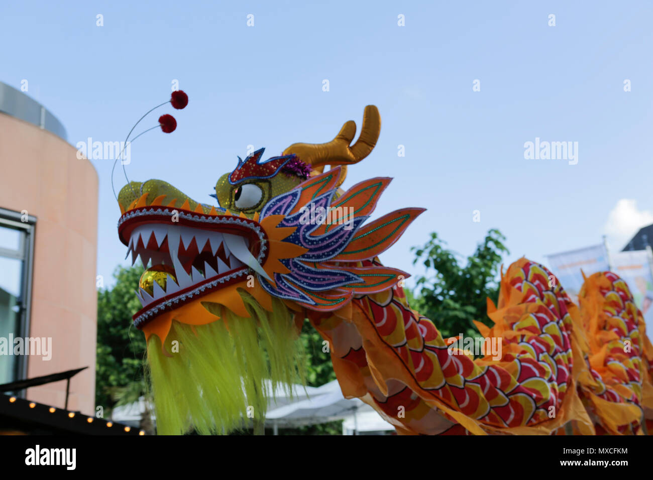 People parade with a long Chinese dragon through Worms. The second day ...