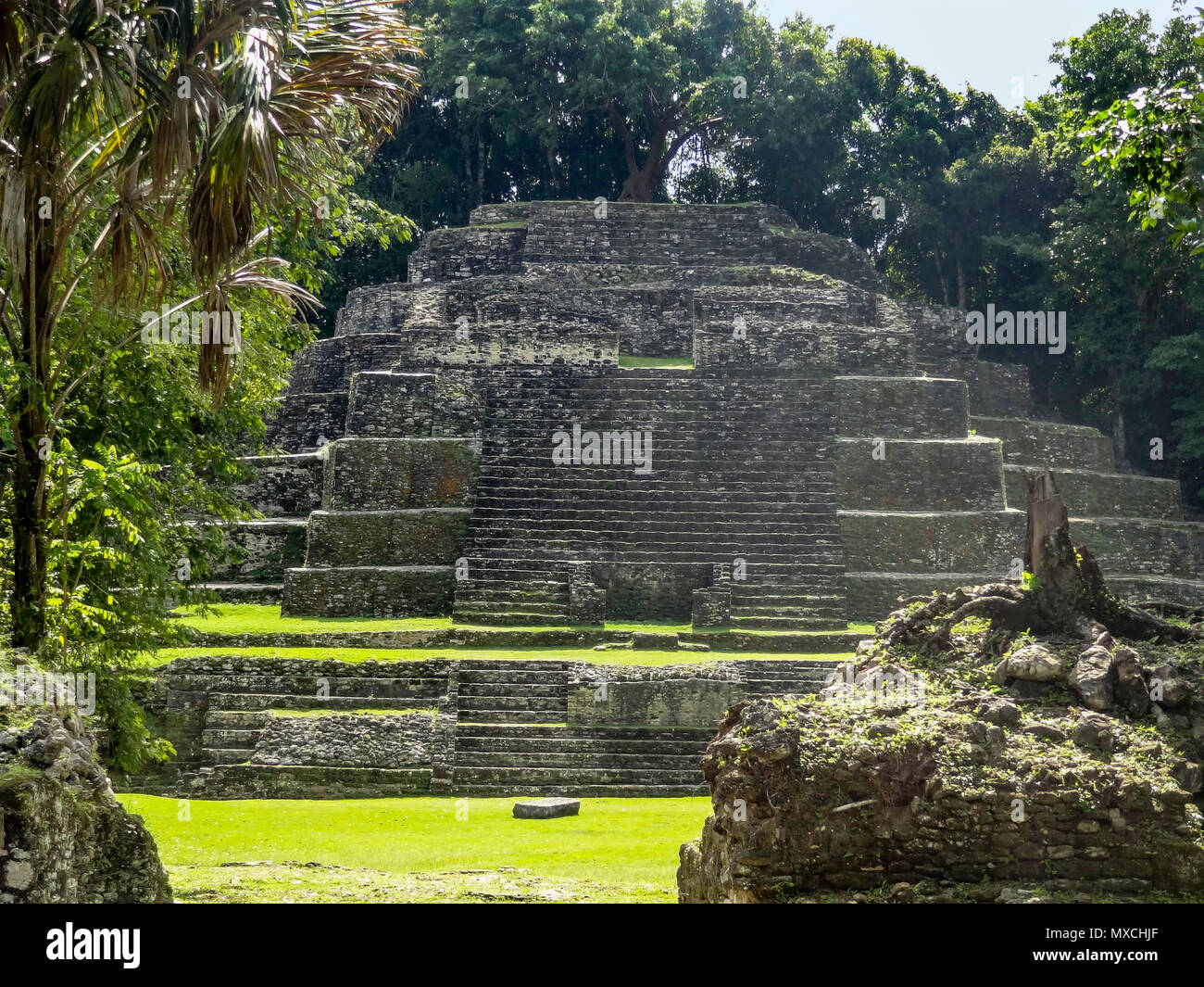 sunny scenery around the Lamanai Temple in Belize Stock Photo - Alamy