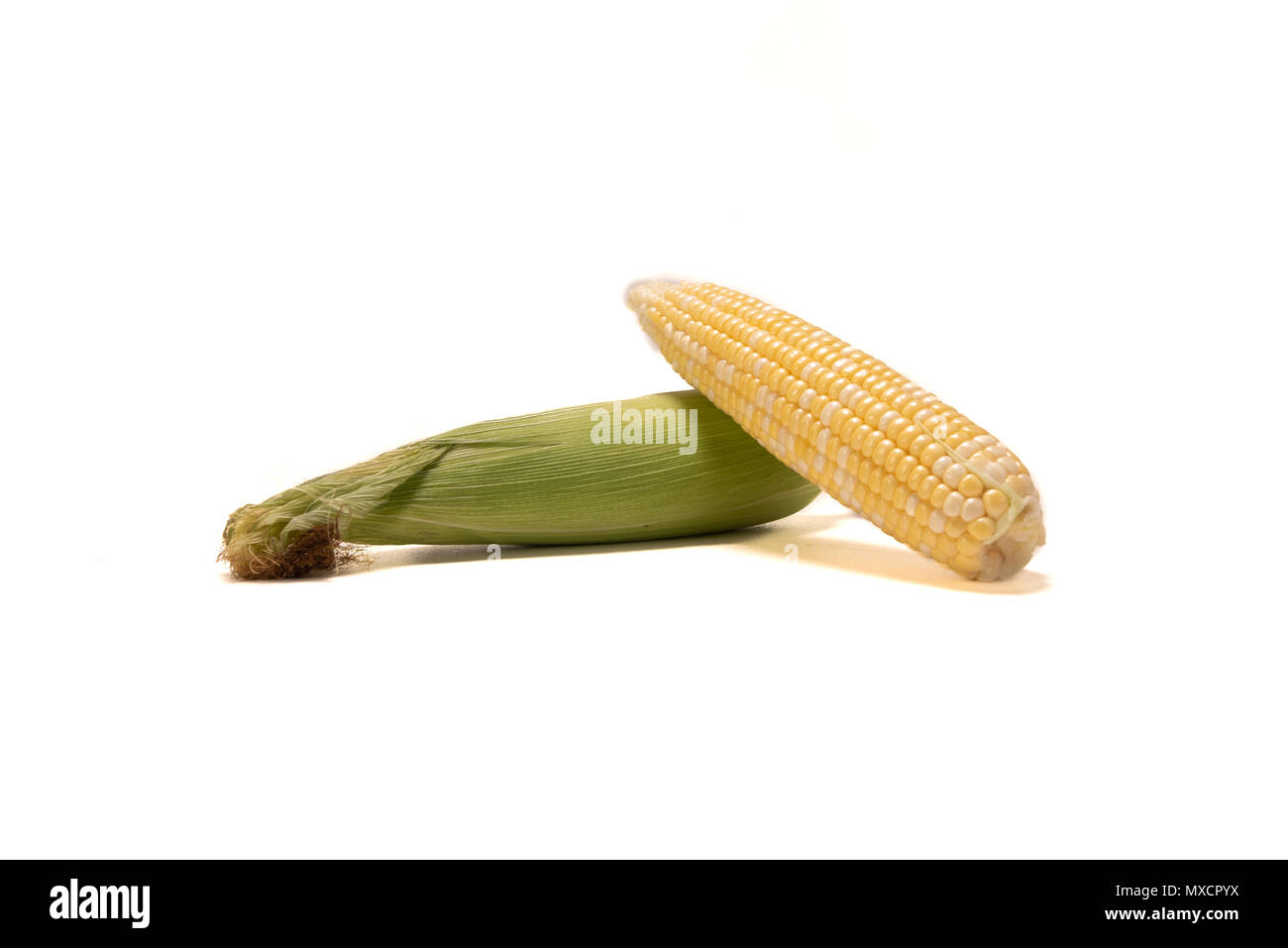 Isolated corn two ears hi-res stock photography and images - Alamy
