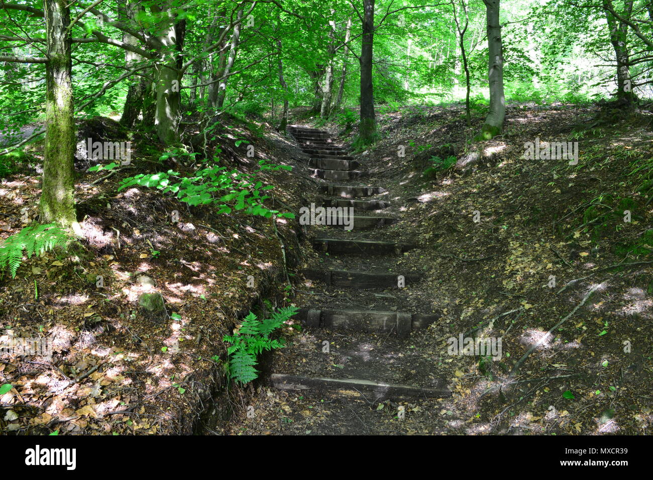 Steep steps up hillside in hi-res stock photography and images - Alamy