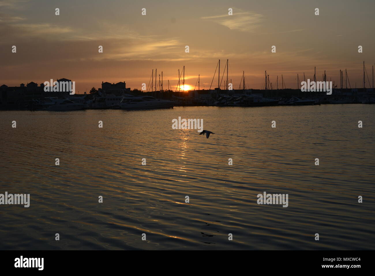 Sunset over harbour hi-res stock photography and images - Alamy