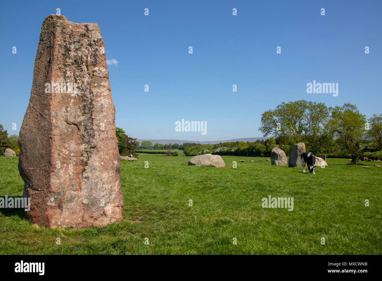 Long Meg & Her Daughters stone circle, Cumbria Stock Photo - Alamy