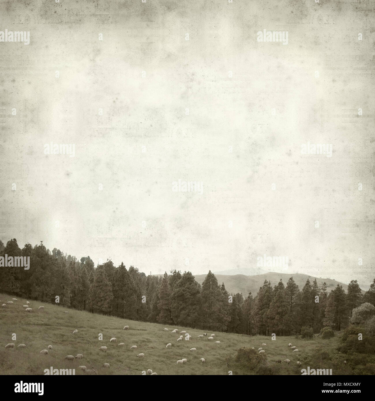 textured old paper background with Gran Canaria landscape with flock of sheep Stock Photo - Alamy