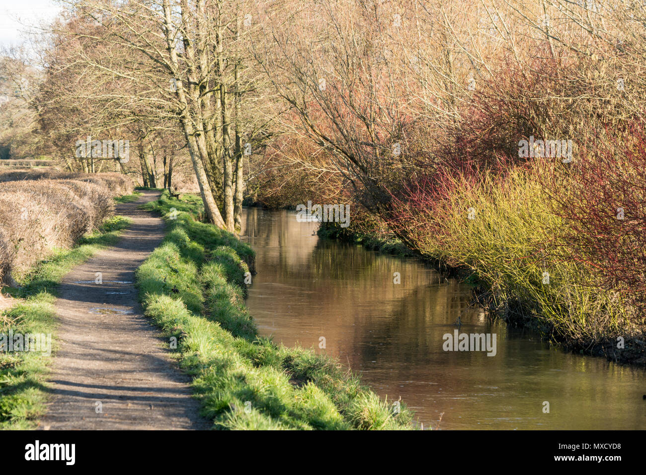 Stream running through village hi-res stock photography and images - Alamy