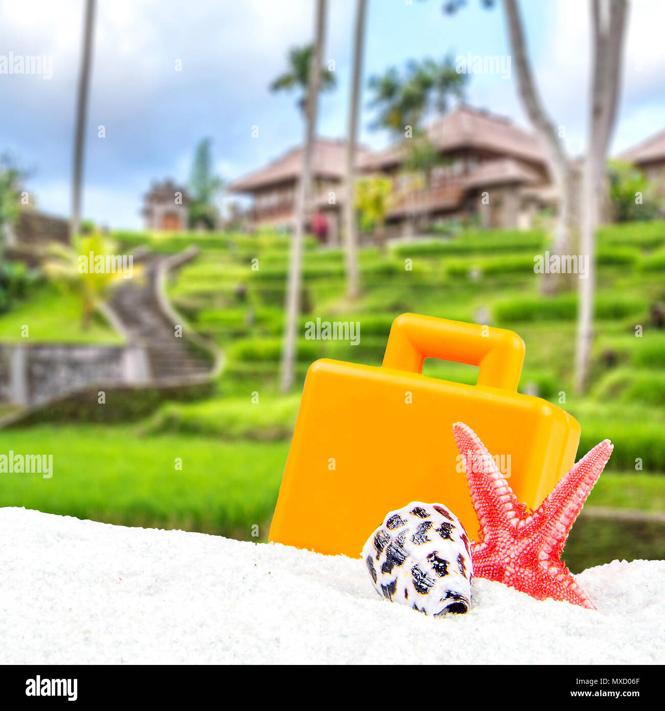 tropical theme with with balinese village blurred background, balinese ...