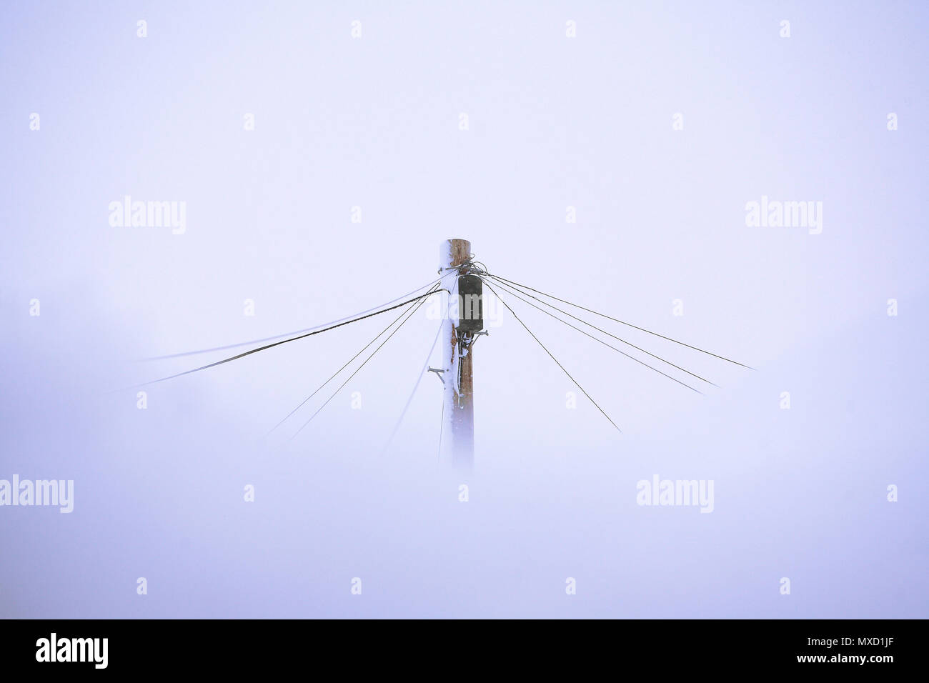 A Snow capped telegraph pole with its wires radiating out and ...