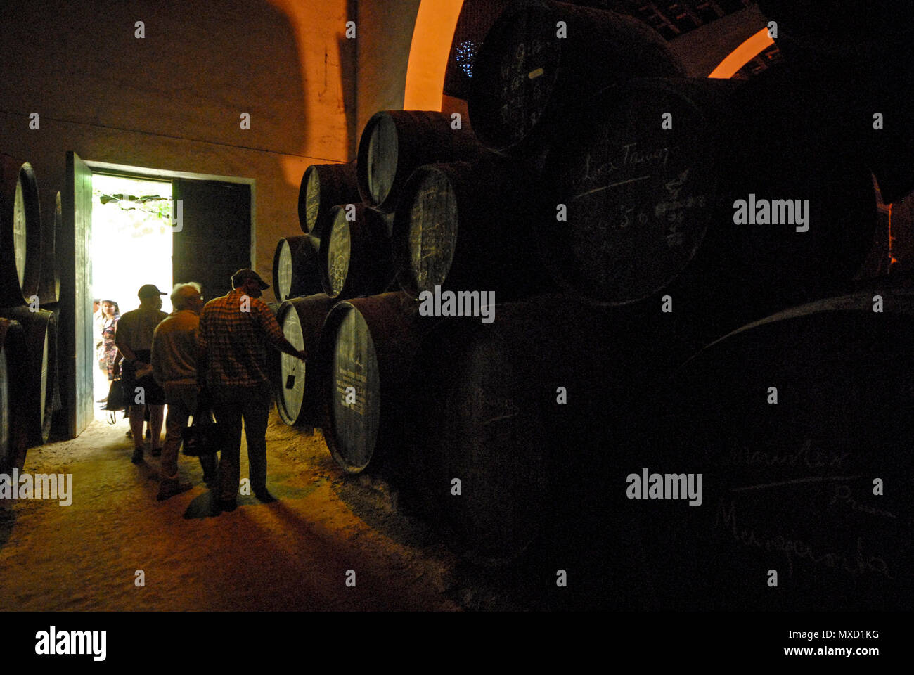 Visitors taking a walking tour through one of the large dark bodega ...