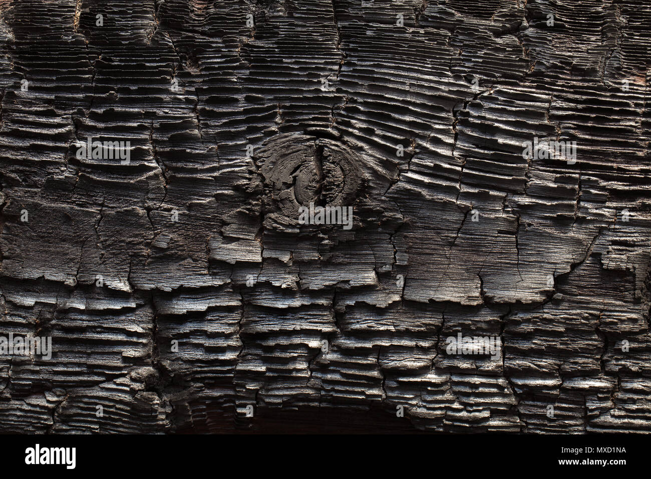 Textured charred wood Stock Photo - Alamy