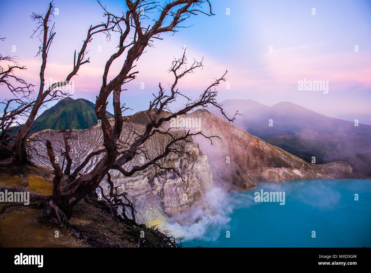 Kawah Ijen volcano with trees during beautiful sunrise in East Java in ...