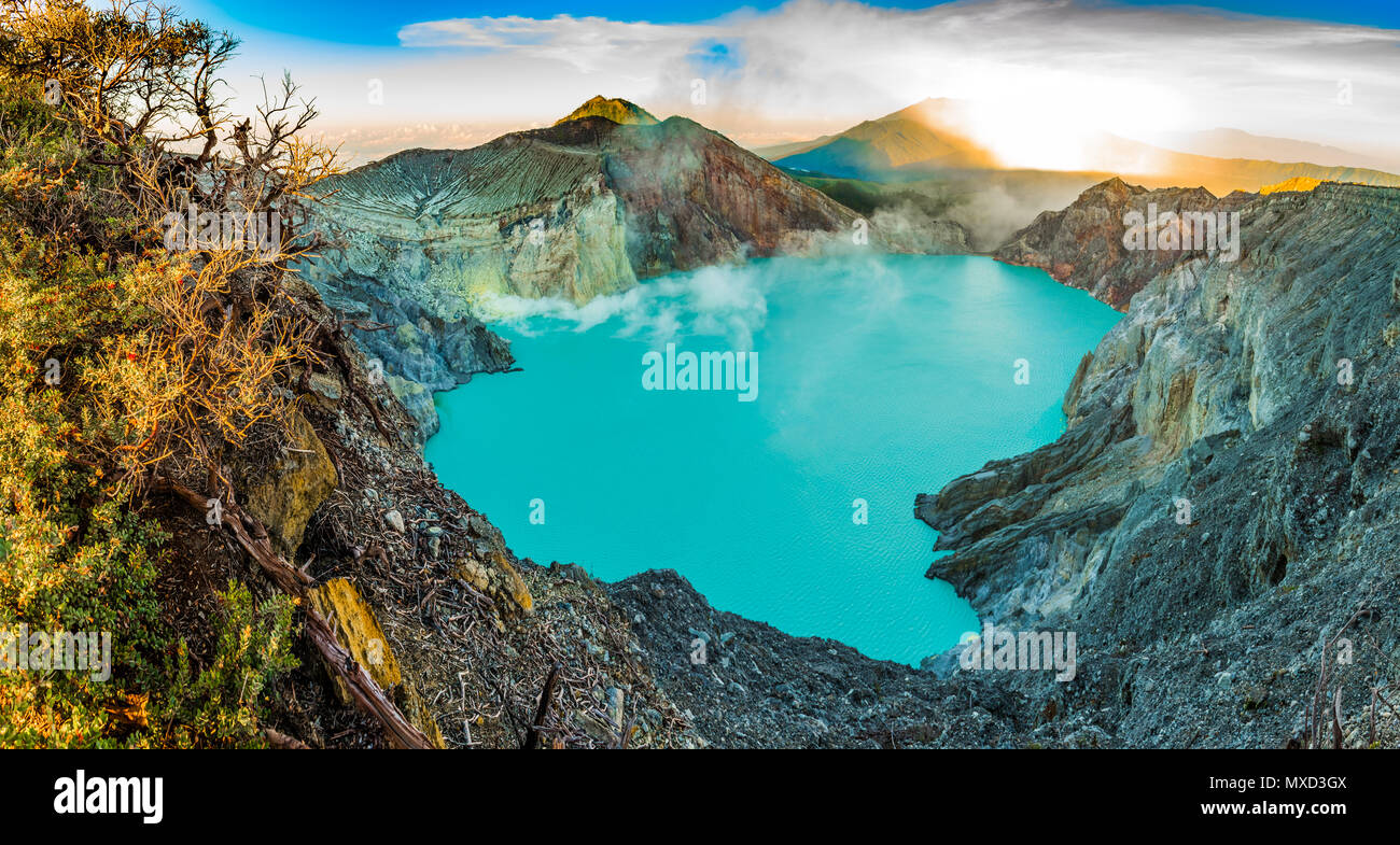 Panoramatic view on Kawah Ijen volcano with trees during beautiful sunrise in East Java in ...