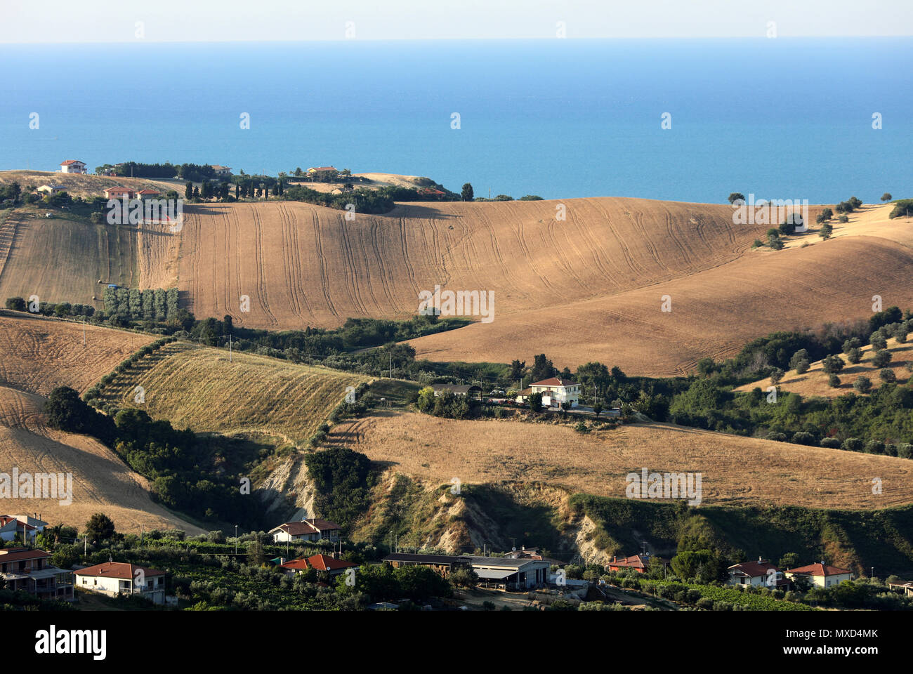 Panoramic view of olive groves and farms on rolling hills of Abruzzo ...