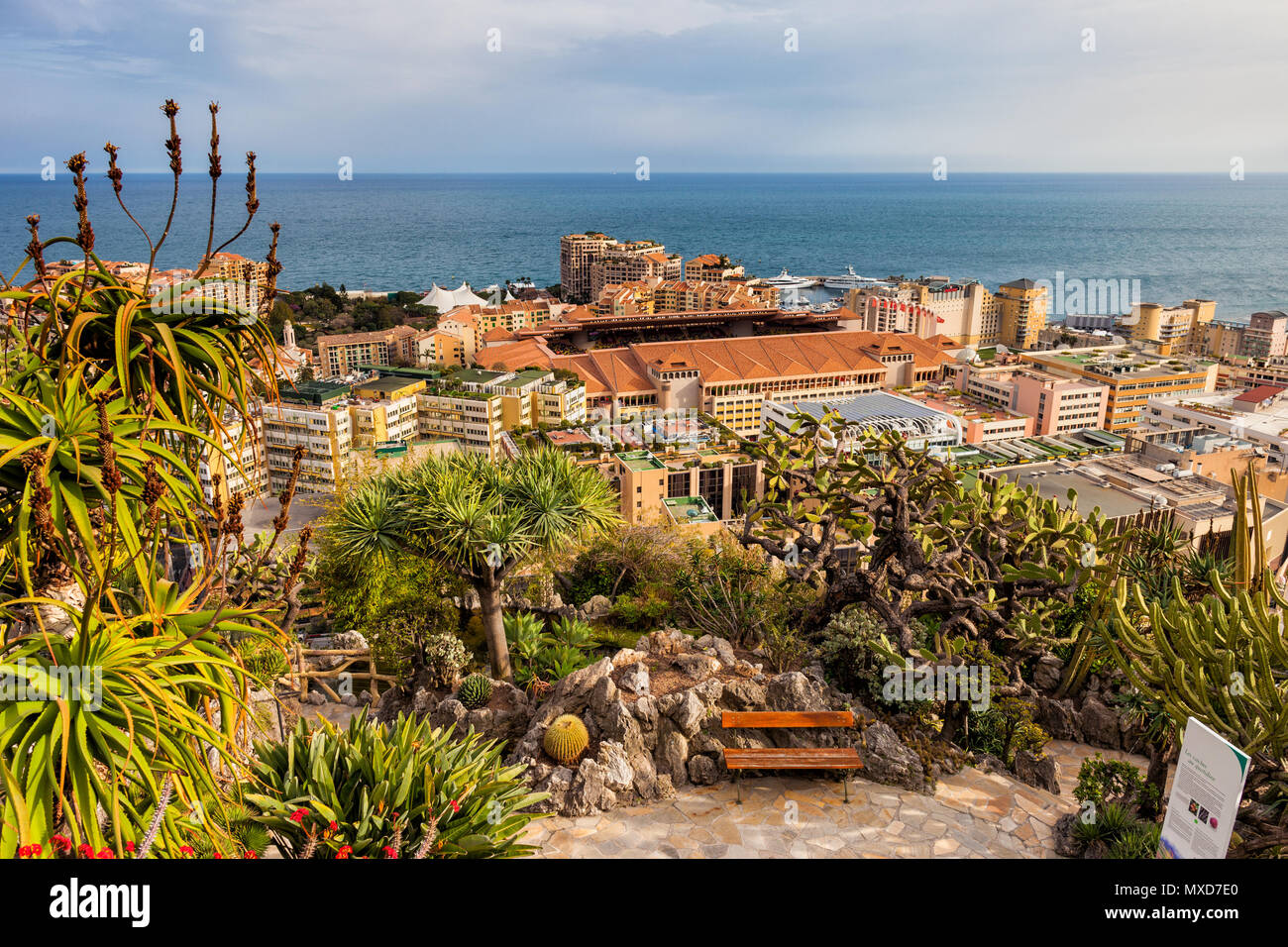 Monaco principality cityscape from Exotic Garden, horizon of ...
