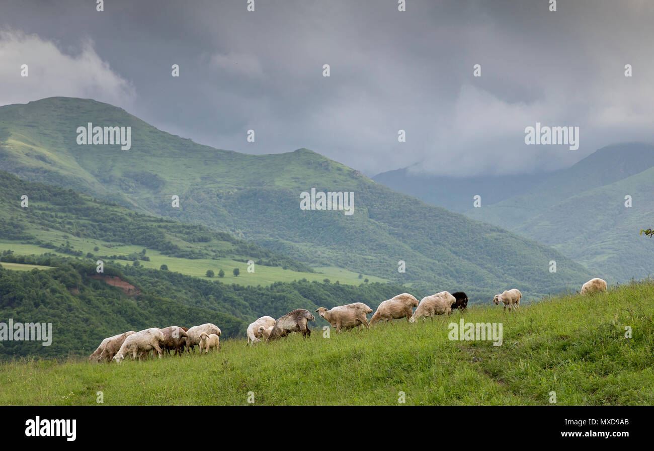 Rural armenia hi-res stock photography and images - Alamy