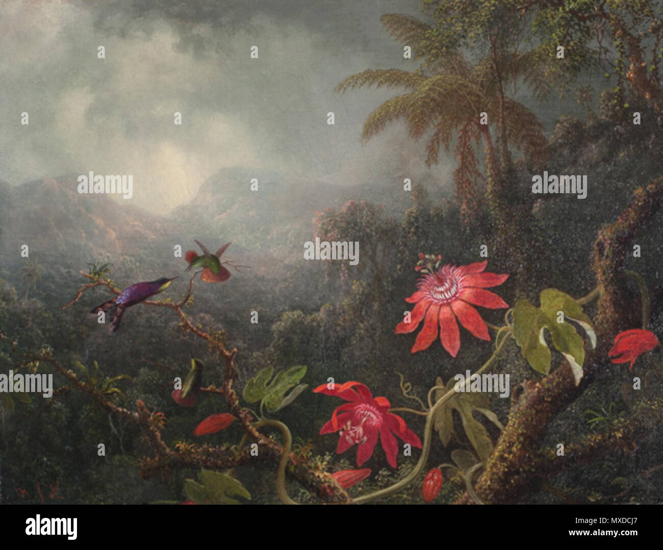 . Passion Flowers with Three Hummingbirds . English: Passion Flowers ...