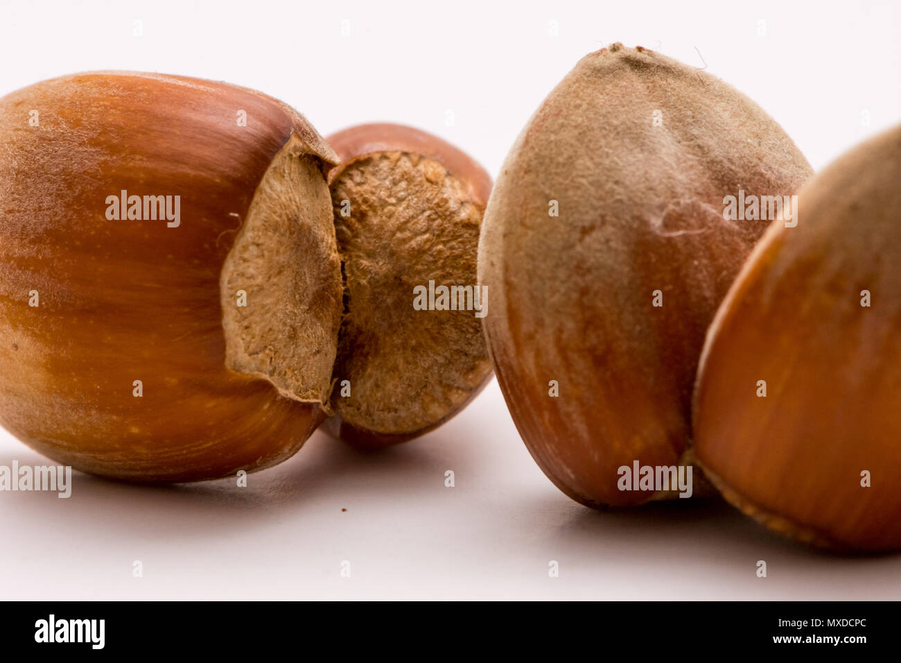 hazelnut with shell on isolated white background Stock Photo - Alamy