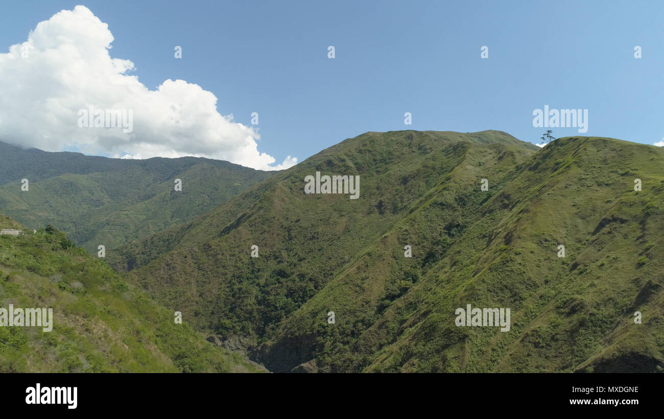 Aerial view of mountains covered forest, trees against the sky and ...