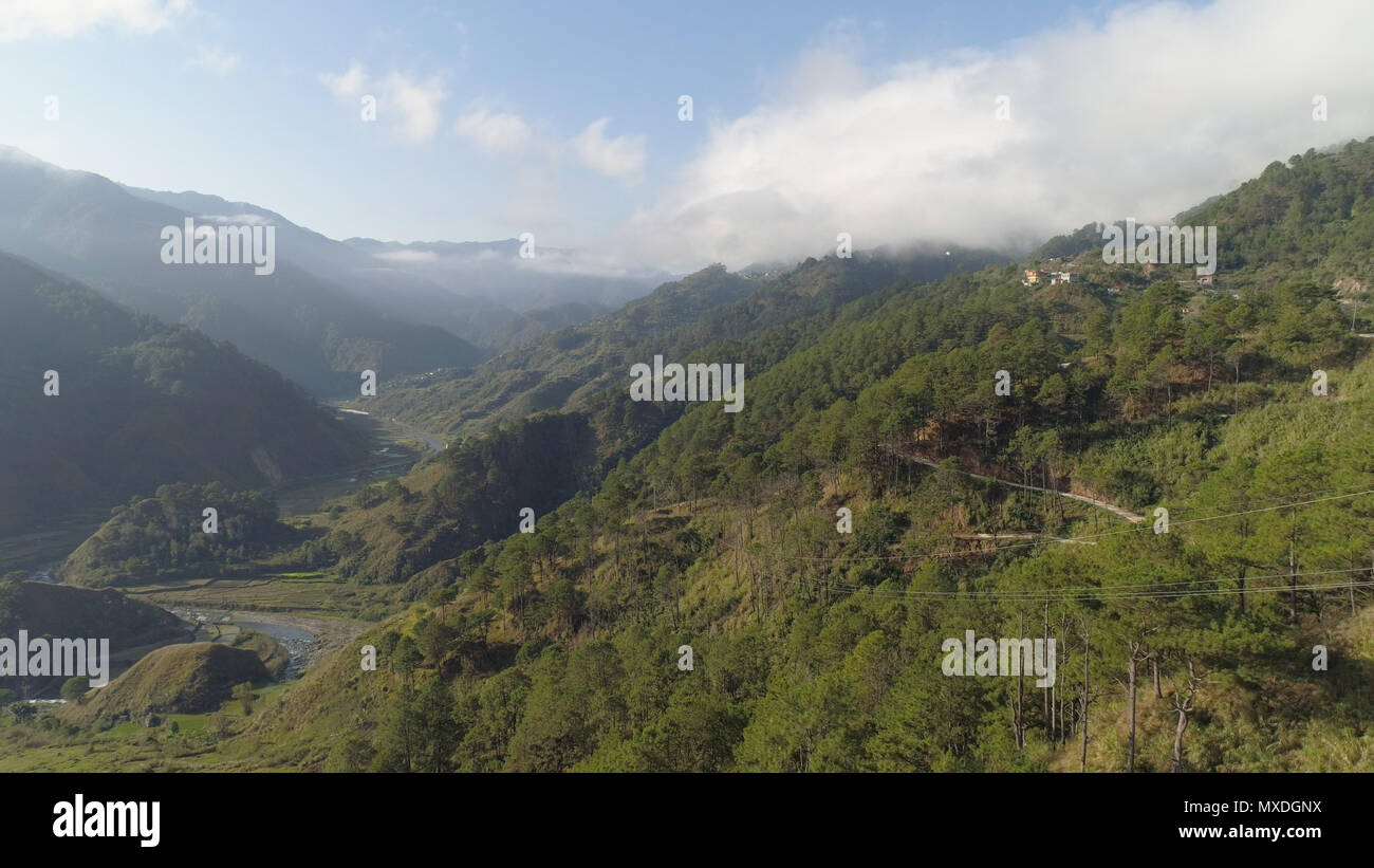 Aerial view of mountains covered forest, trees in clouds and fog ...