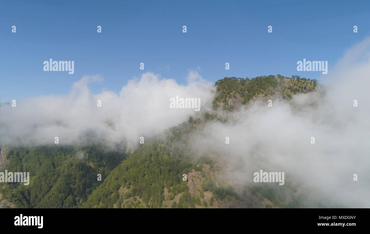 Aerial view of mountains covered forest, trees in clouds and fog ...
