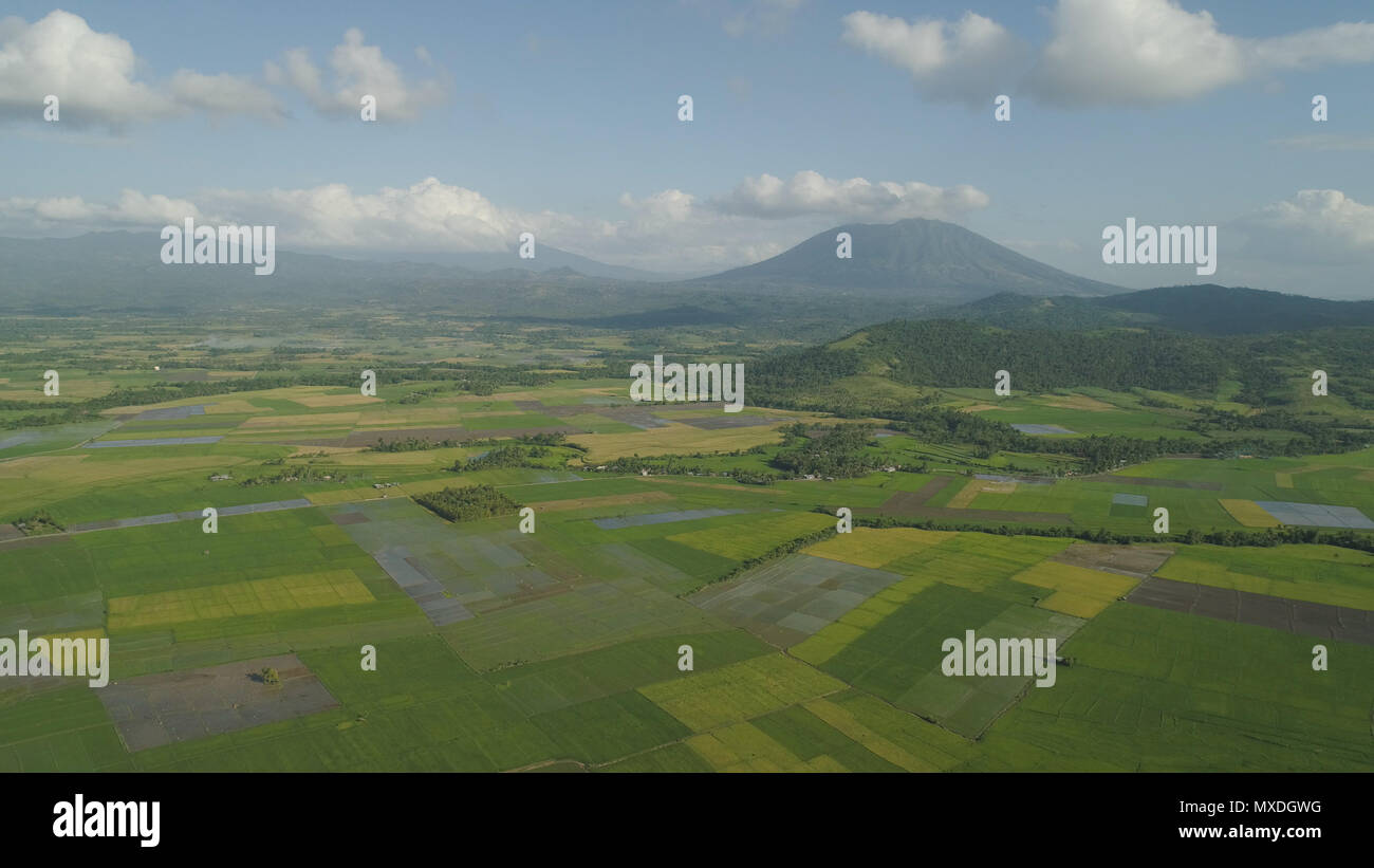 Mountain valley with farmland, rice terraces near mount Iriga. Aerial ...