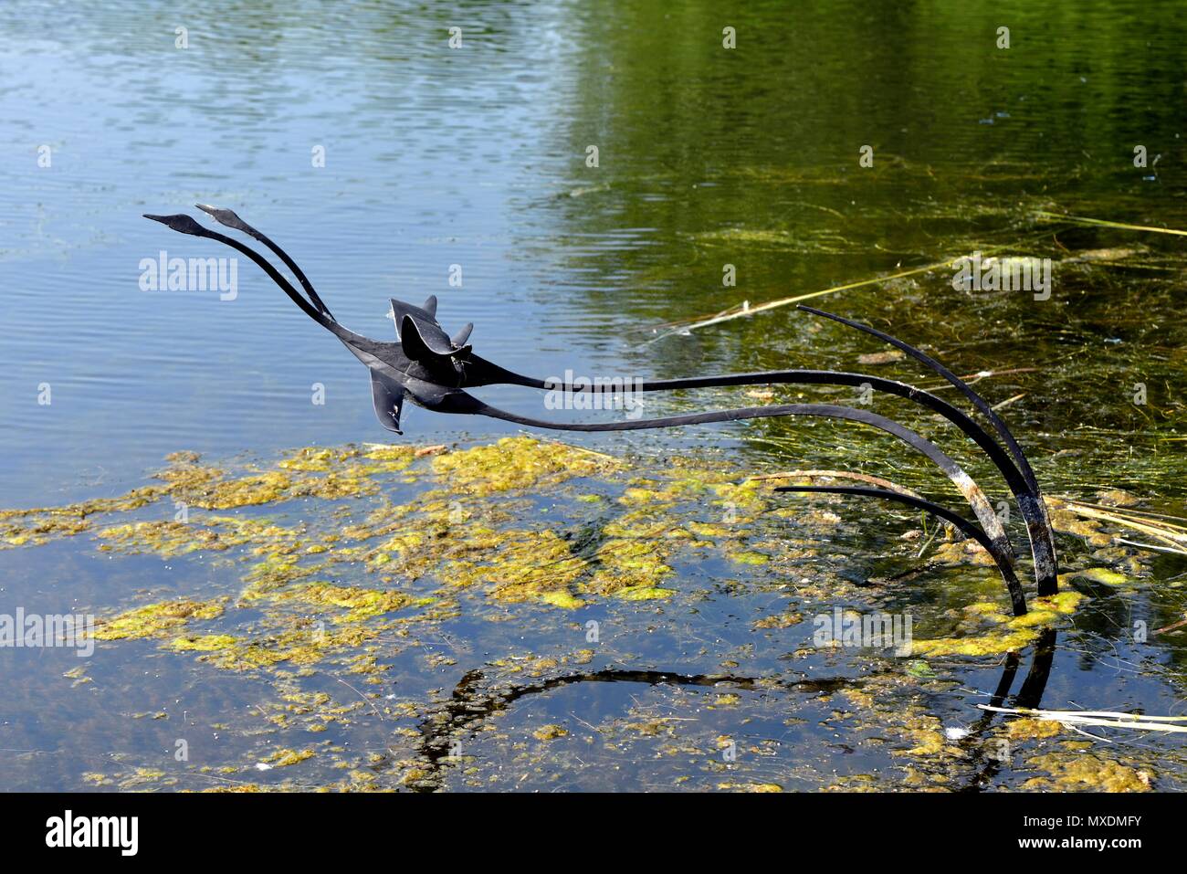 Flying swans sculpture by Paul Margetts. Mercia Marina,Willington ...