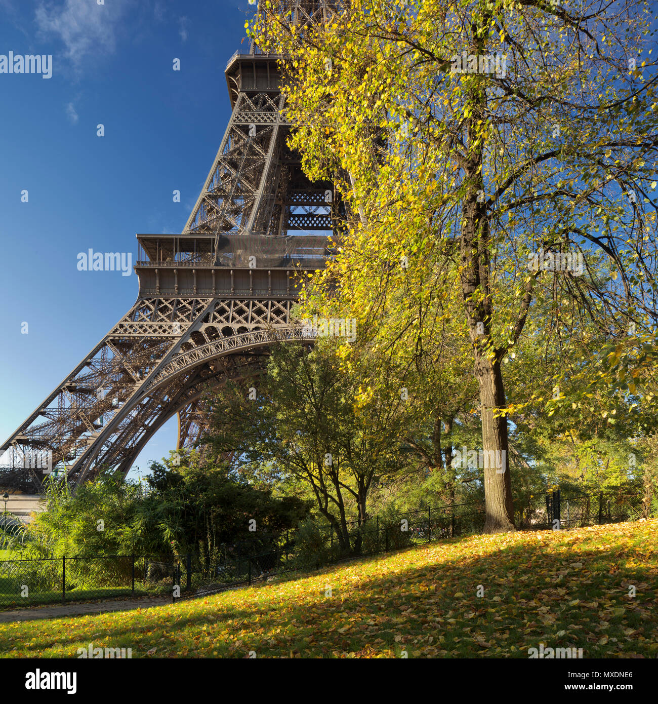Eiffel tower fall hi-res stock photography and images - Alamy