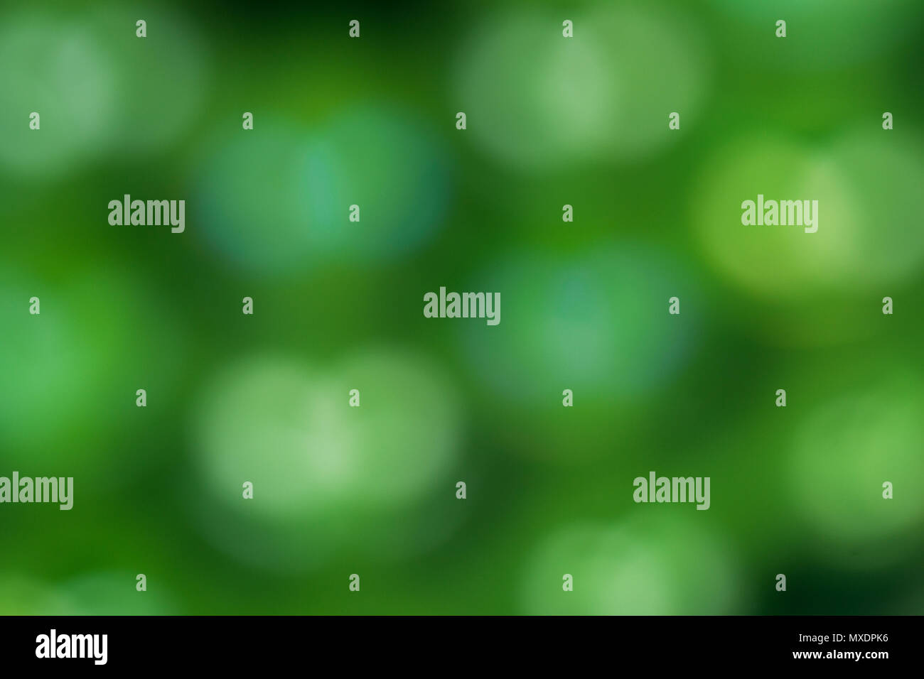 Selective focus abstract blurred green hi-res stock photography and ...