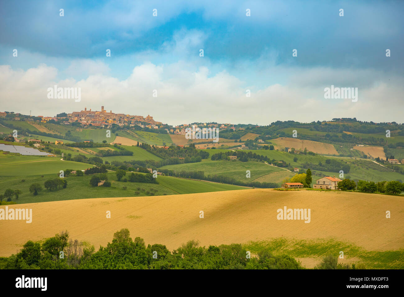 Rural Landscape at summer fields in Italian province of Ancona in Italy ...